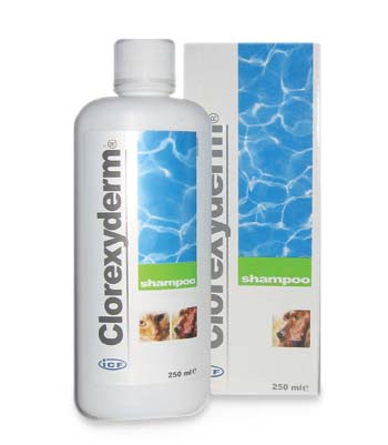 ICF Clorexyderm Šampon 4% 250 ml
