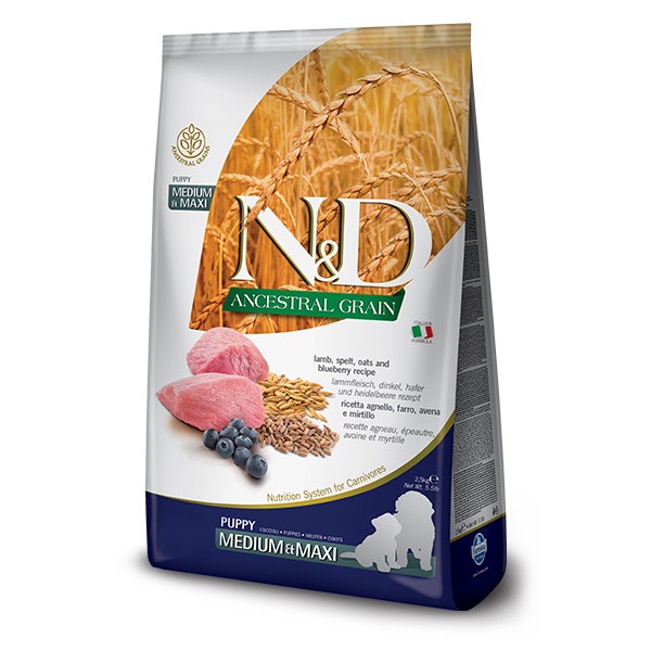 N&D Ancestral Grain Puppy Medium&Maxi Lamb&Blueberry – 12 kg