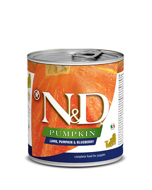 N&D Pumpkin Puppy Lamb&Blueberry – 6×285 g