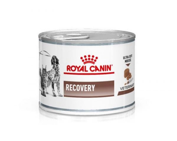 Royal Canin Recovery – 6×195 g