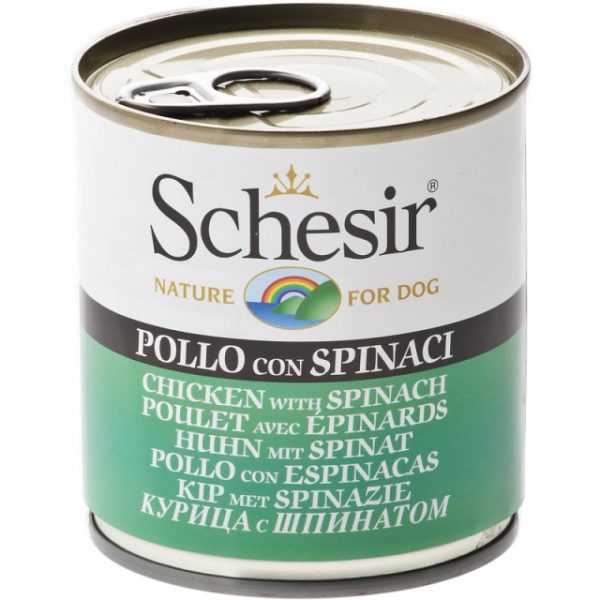 Schesir Dog Piletina i Spanać – 6×285 g