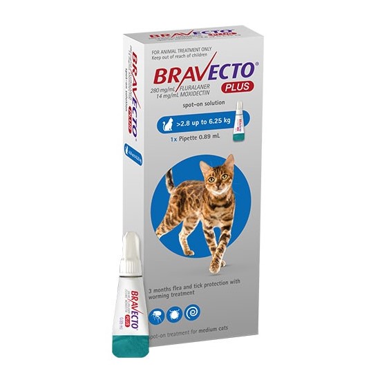 BRAVECTO Plus Cat – spot-on za mačke 2,8-6,25 kg