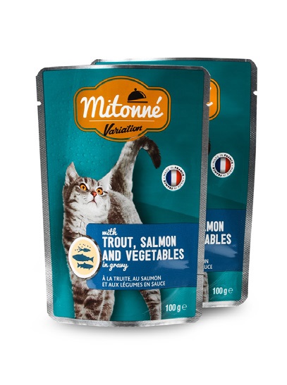 Mitonne Trout, Salmon and Vegetables – 24×100 g