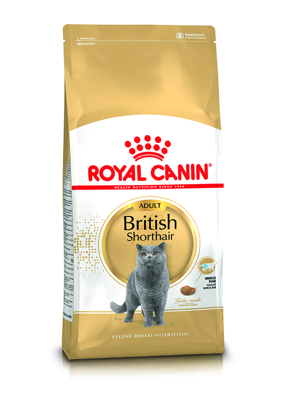 Royal Canin British Shorthair Adult – 2 kg