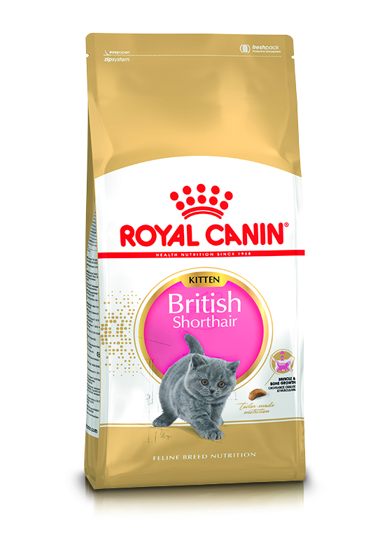 Royal Canin British Shorthair Kitten – 2 kg