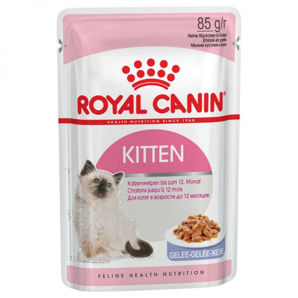 Royal Canin Kitten in Jelly – 12×85 g