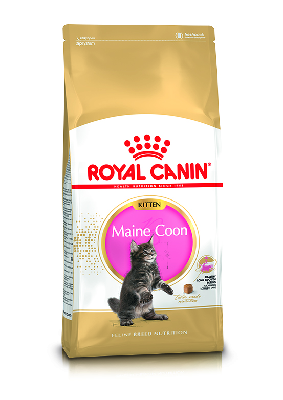 Royal Canin Maine Coon Kitten – 2 kg