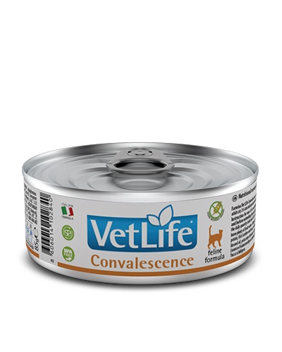 Vet Life Cat Convalescence – 12×85 g