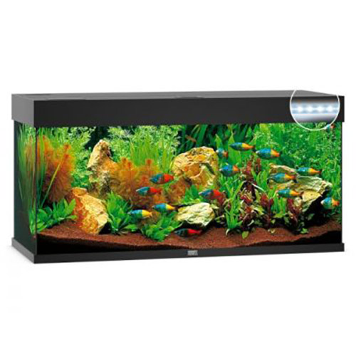 Juwel Akvarijum Rio Led Crni 240