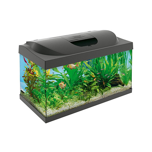 Tetra Akvarijum Starter Line Led Tank 54 l