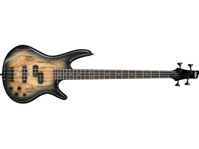 Ibanez GSR205SM-NGT Natural Gray Burst