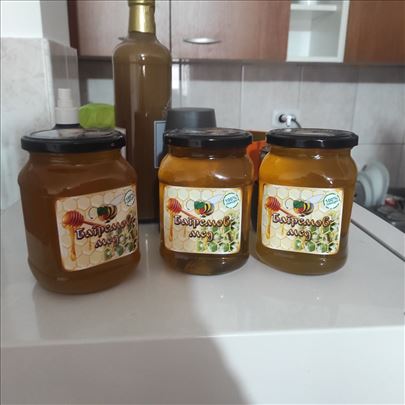 Domaći bagremov med