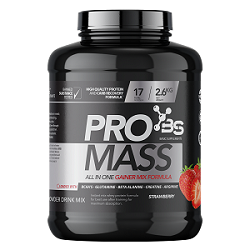 BS PRO Mass 5,2kg
Vanilla Whipe Cream