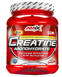 AMIX Creatine 500g
500g