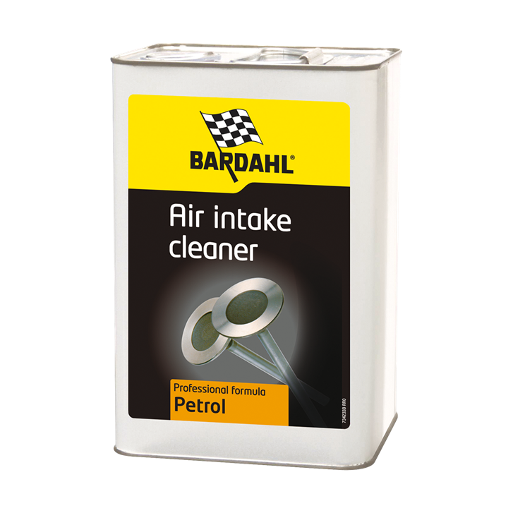 Petrol air intake cleaner