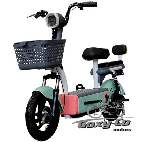 Električni bicikl KOLIBRI 250W