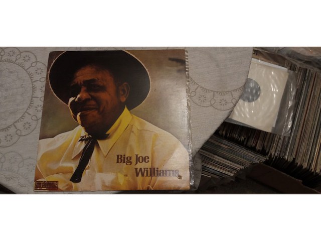 Big Joe Williams – Big Joe Williams