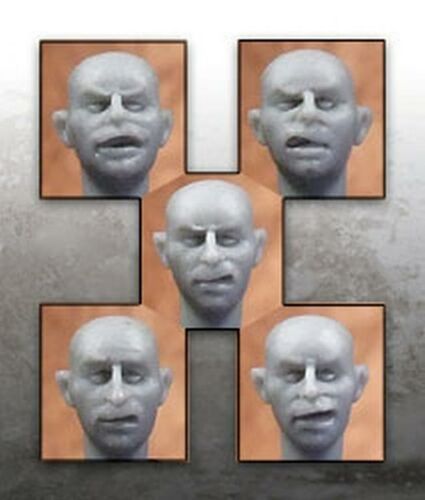The Bodi Miniatures 35016 Heads