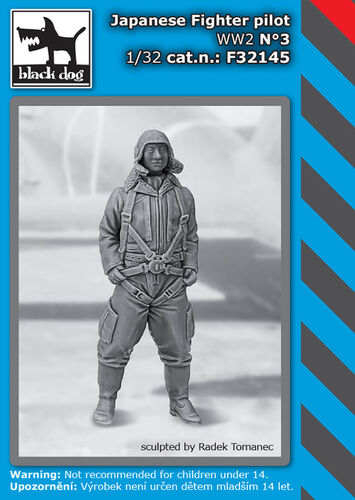 Black Dog F32145 Japanese fighter pilot WW II N3