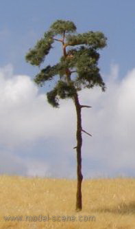 Model scene BR100 Pine-tree 80 mm - 110 mm