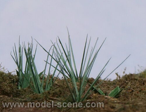 Model scene VG4-007 Common sedge