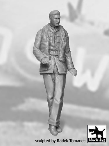 Black Dog F32047 RAF Fighter Pilot 1940-1945 N°6