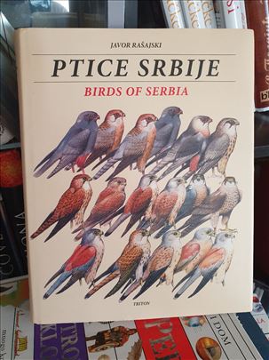 Ptice Srbije - Javor Rašajski