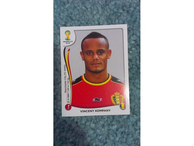 Panini FIFA 2014 Brazil sličica broj 567