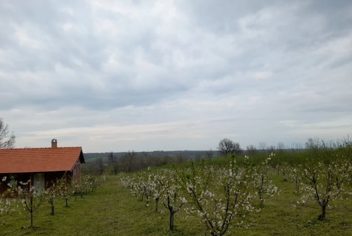 Vikendica na prodaju Sume-Topola