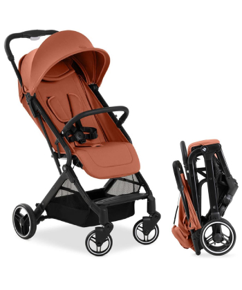 Hauck kolica za bebe Travel N Care Plus do 22 kg - Cork