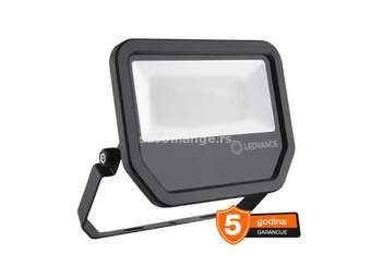 LEDVANCE LED reflektor 50W dnevno svetlo