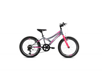 Bicikl Capriolo Mtb diavolo 200 20" 6HT sivo-pink 11" (920292-11)