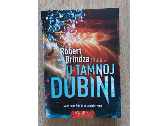 U tamnoj dubini - Robert Brindza