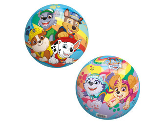 Lopta Paw Patrol 23cm 04-123015