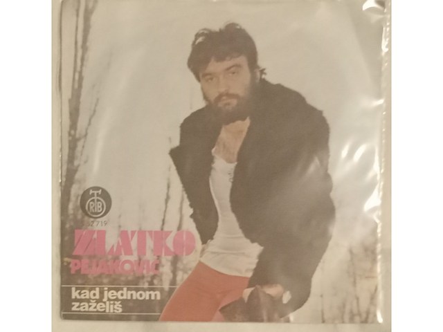 ZLATKO  PEJAKOVIC  -  KAD  JEDNOM  ZAZELIS