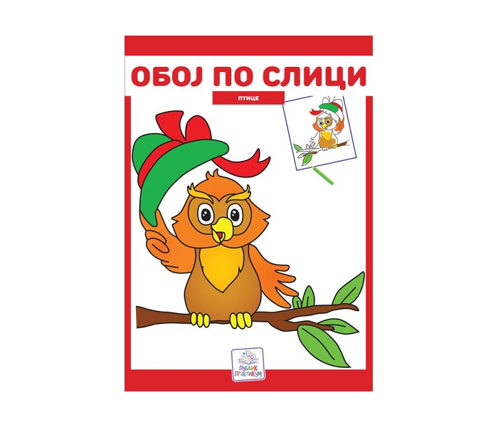 KNJIGA OBOJ PO SLICI - PTICE