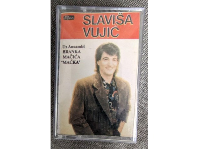 Slaviša Vujić uz Ansambl Branka Mačića `Mačka`