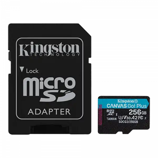 KINGSTON Memorijska kartica 256GB MicroSD - SDCG3/256GB