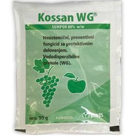 Fungicid Kossan WG 30g