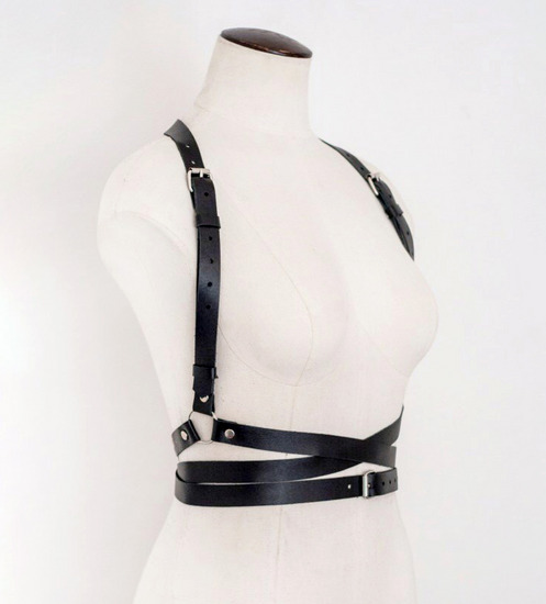 Harness