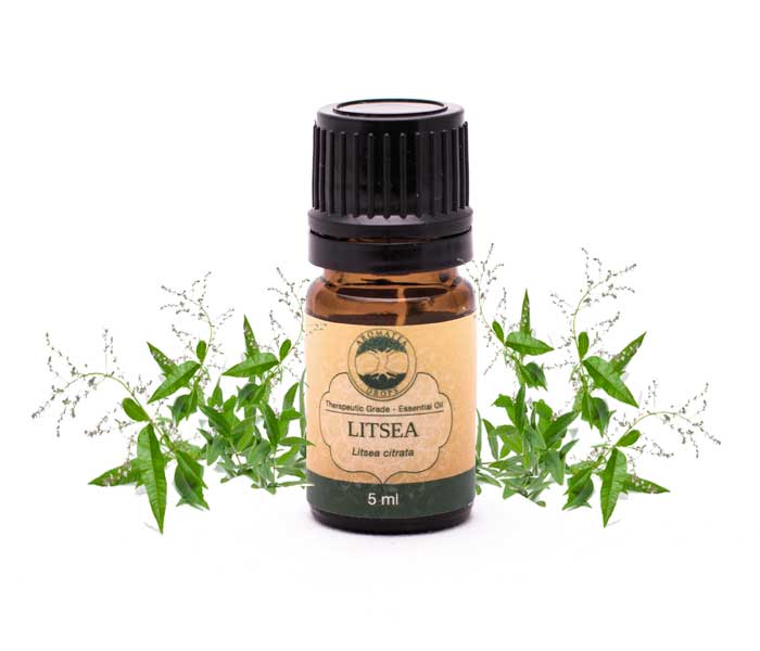 LITSEA 5 ML