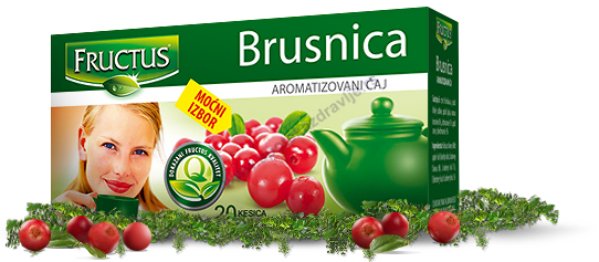 FRUCTUS BRUSNICA 10% filter 40g