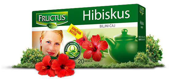 FRUCTUS HIBISKUS filter 30g