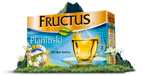 FRUCTUS PLANINSKI filter 20g
