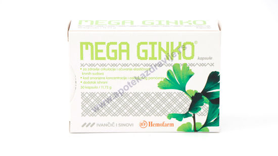 MEGA GINKO 30 caps.