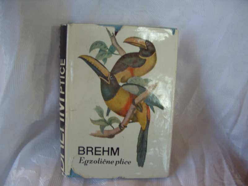 Egzotične ptice, Brem Brehm