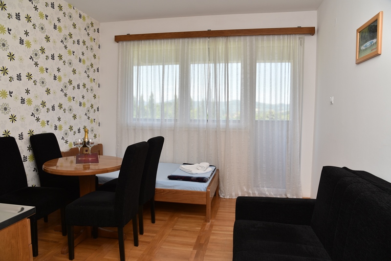 Jednosobni apartman, Banja Koviljača, Zdravka Mašanovića