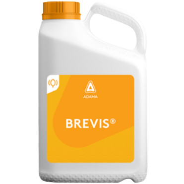 Brevis 5L