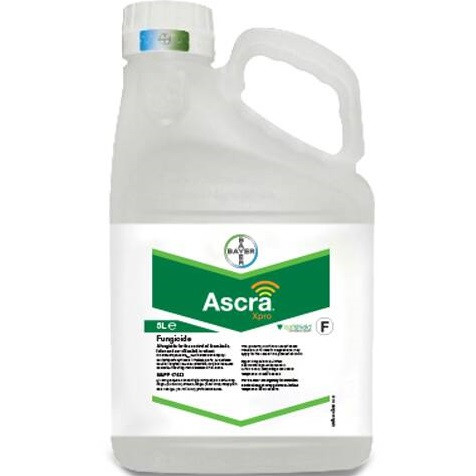 Fungicid Ascra Xpro 5L