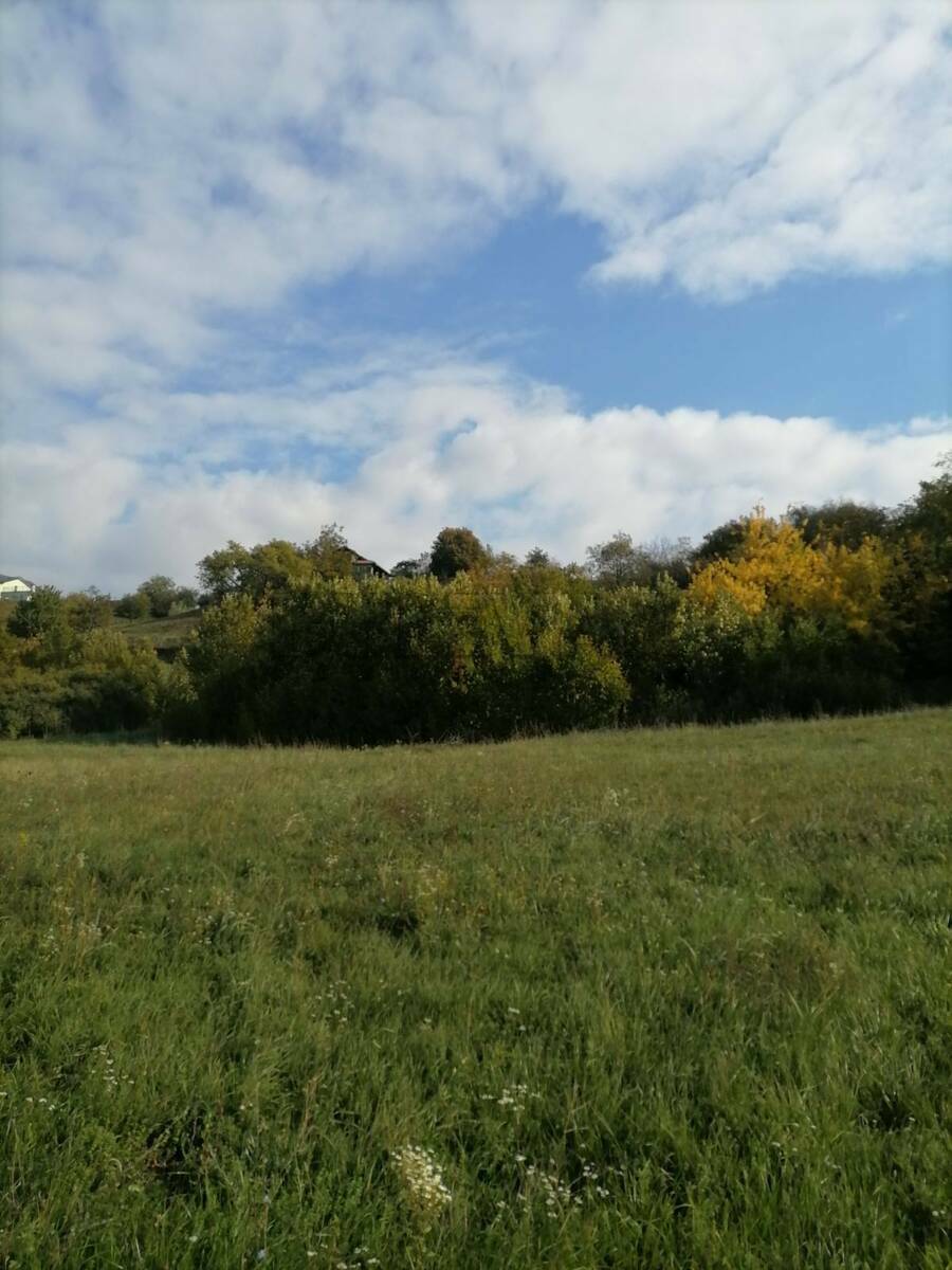 Plac Na Fruškoj Gori, 2480 m2